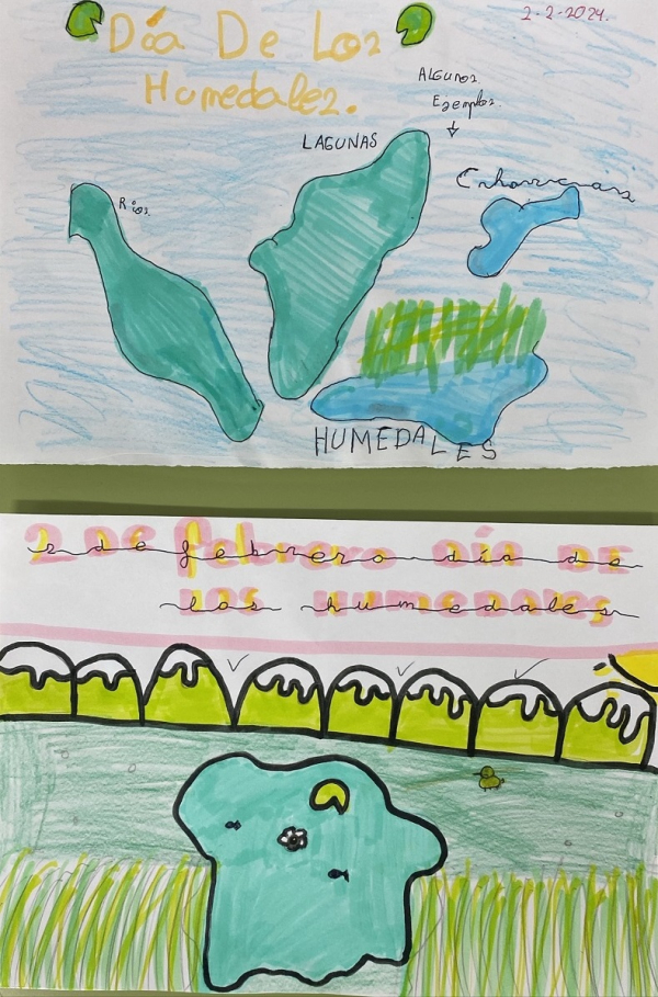 El valor que tienen los humedales para la humanidad y el planeta